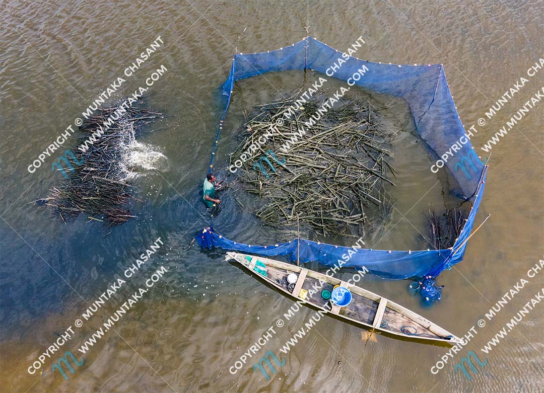 Fisheries and Mangroves in Ghana: Atidza and the Densu Delta Ecosystems ...