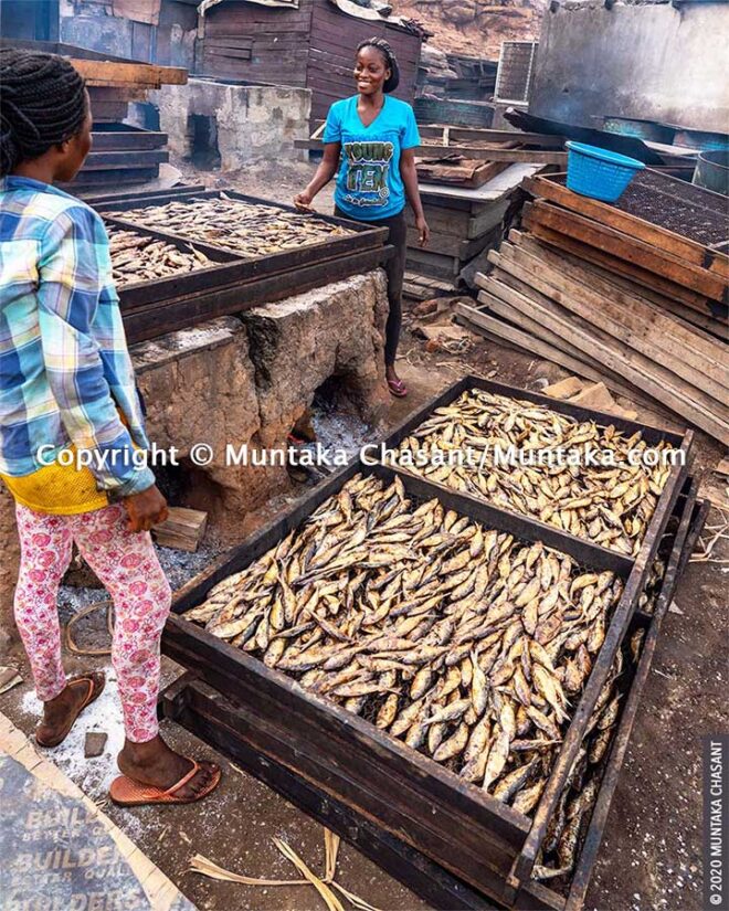 Fish Processing in Ghana: Trade-offs Between Livelihoods and Health ...